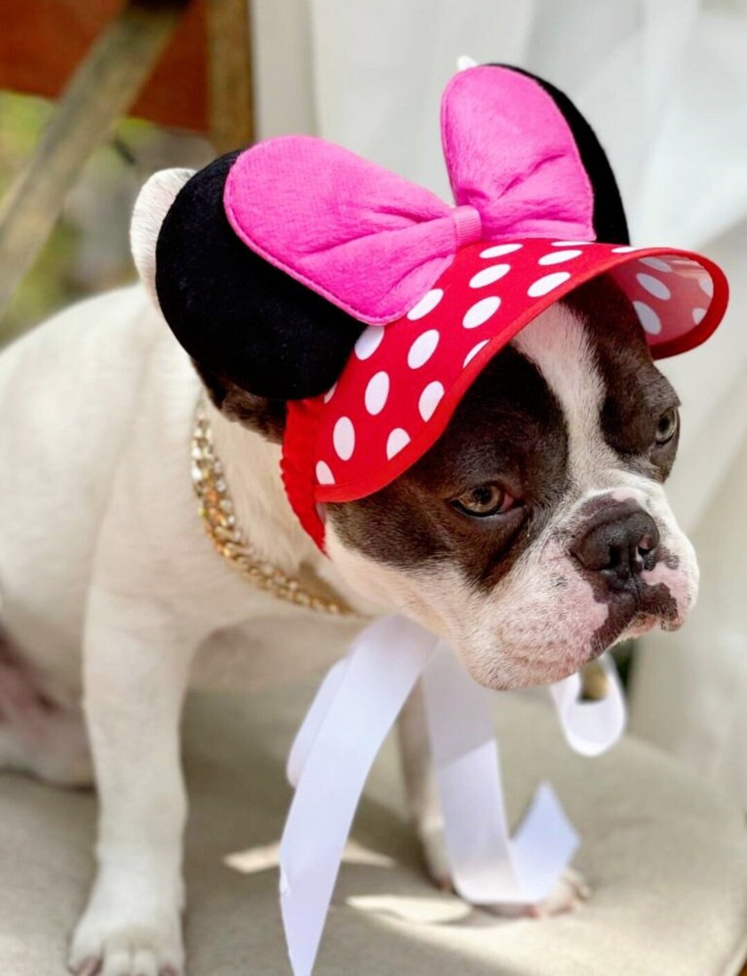 Mini Mouse Dog Costume Hat - Halloween Pet Accessory - Etsy