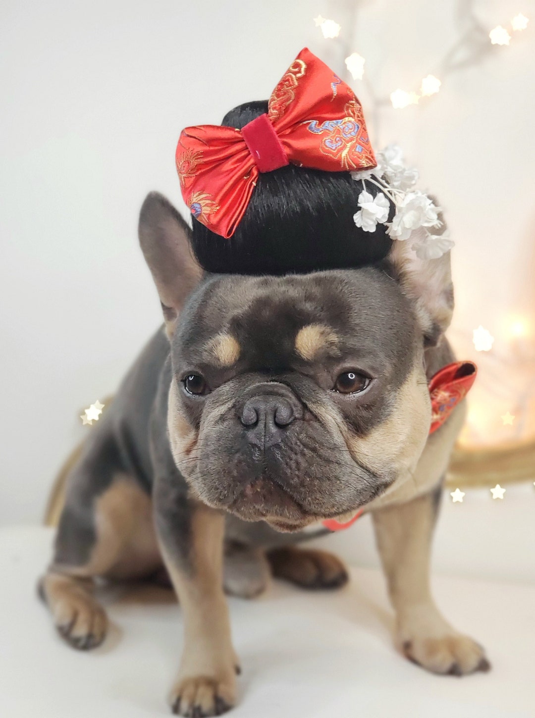 Geisha Wig /geisha Dog Wig/geisha Cat Wig /pet Costume/dog Costume/ - Etsy