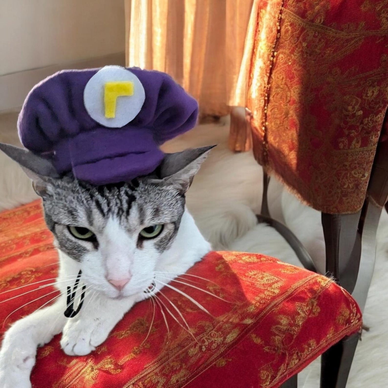 Mario Luigi Wario Waluigi Cat Hat, Adjustable Costume - Etsy