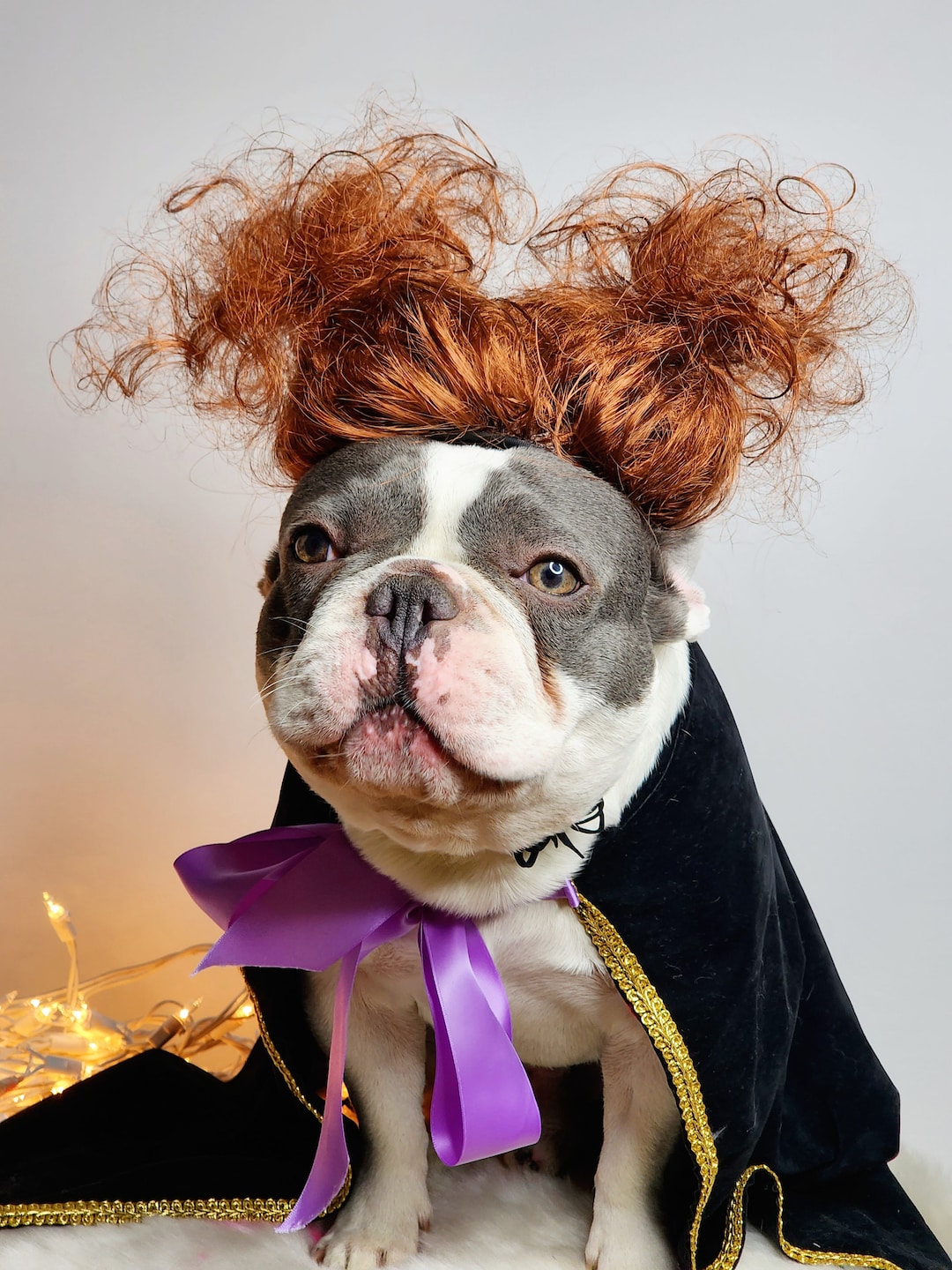 Winifred Sanderson Cute Pet Wig for Large Dog/dog Costume /dog Wig / - Etsy