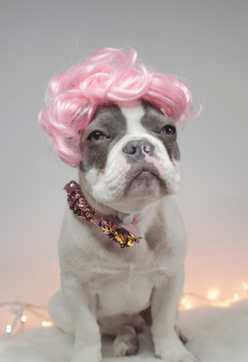 Pink Pet Wig for Dog or Cat, Halloween Costume - Etsy