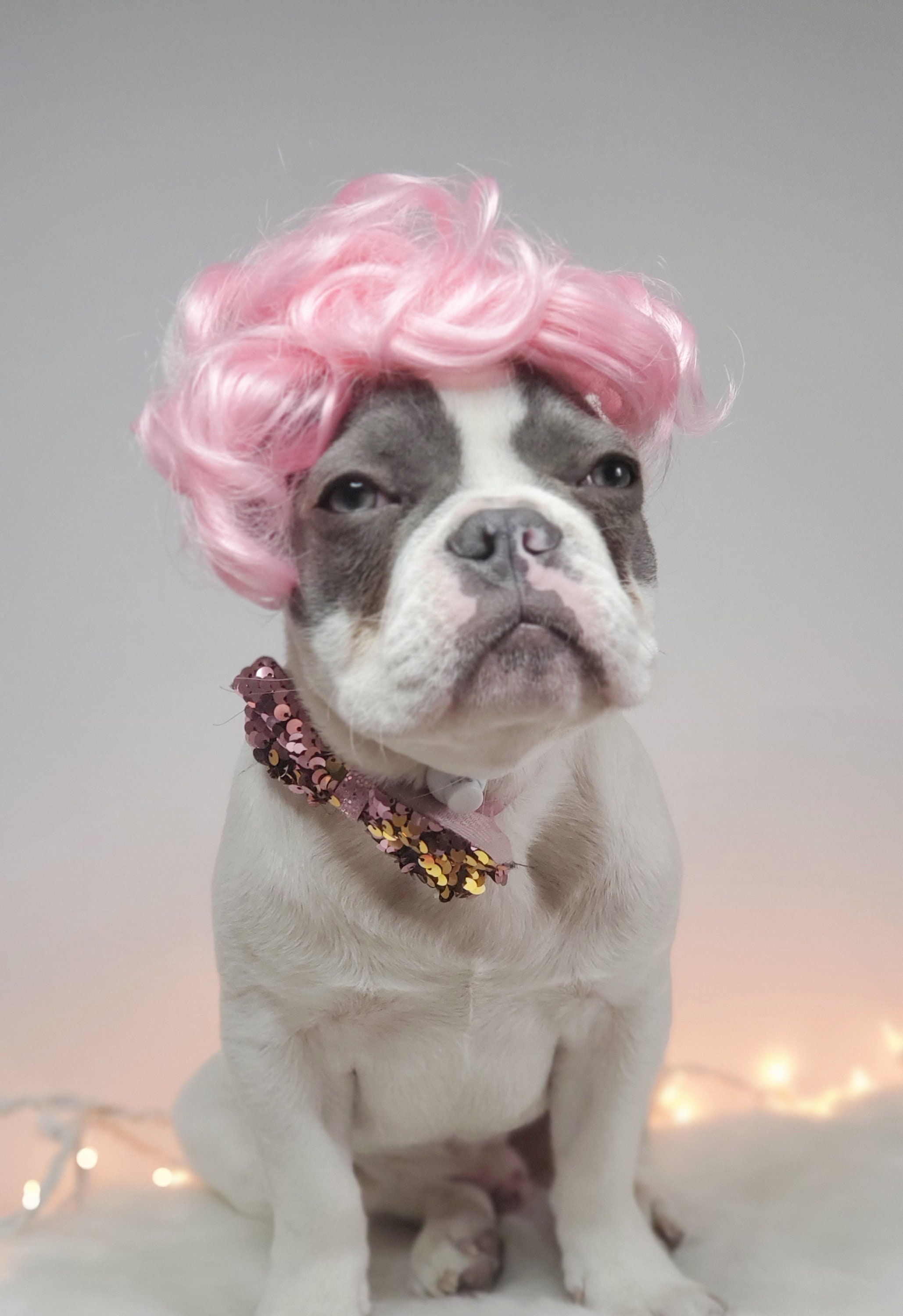 Pink Pet Wig for Dog or Cat, Halloween Costume - Etsy