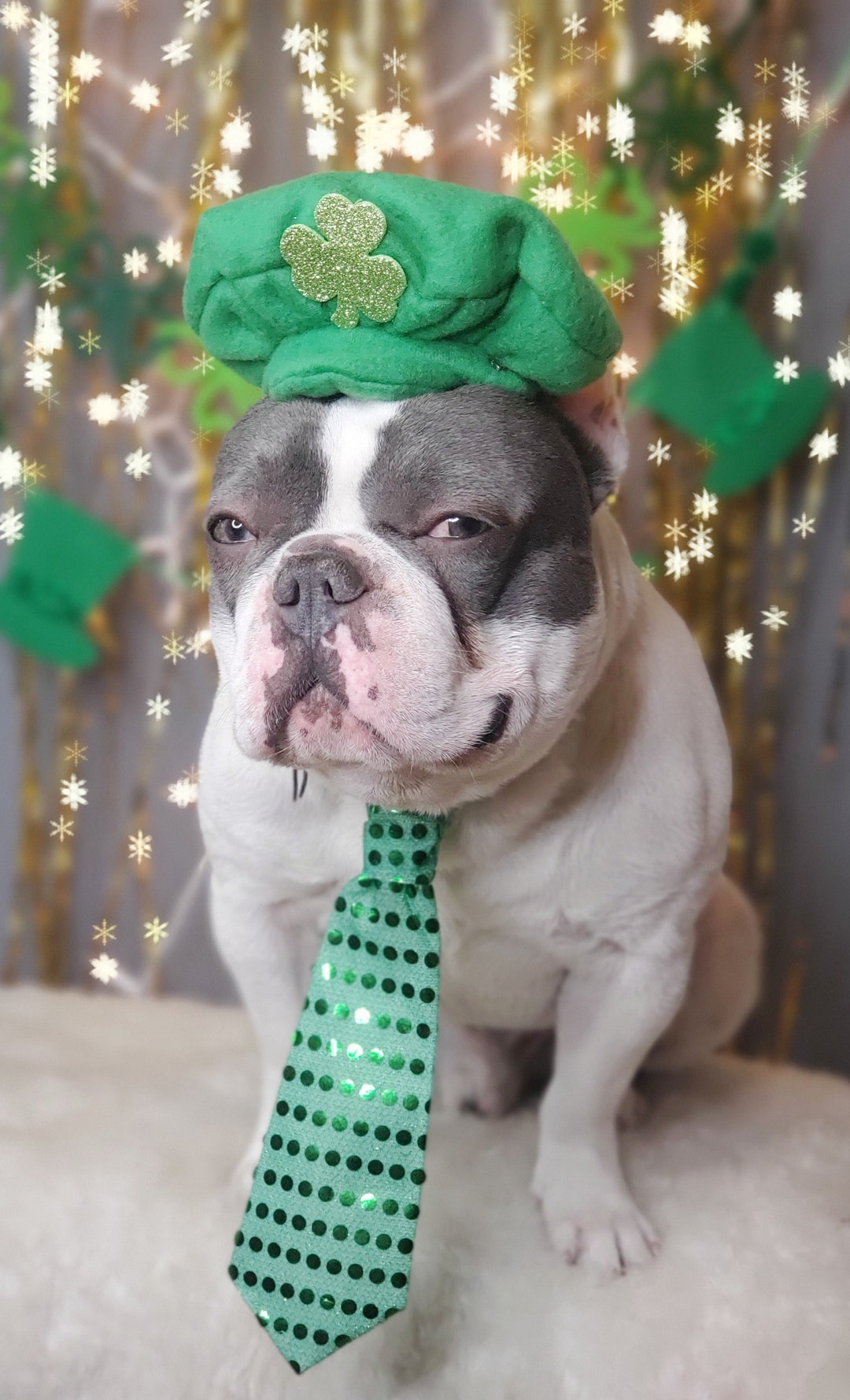 Saint Patrick's Day Pet Hat /irish Top Hat for Dogs /felt Derby Pet Hat ...