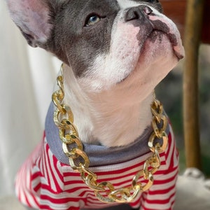 Supper Cute Dog Neck Chain Gold Color/ Jewelry for Pet /jewelry Collar ...