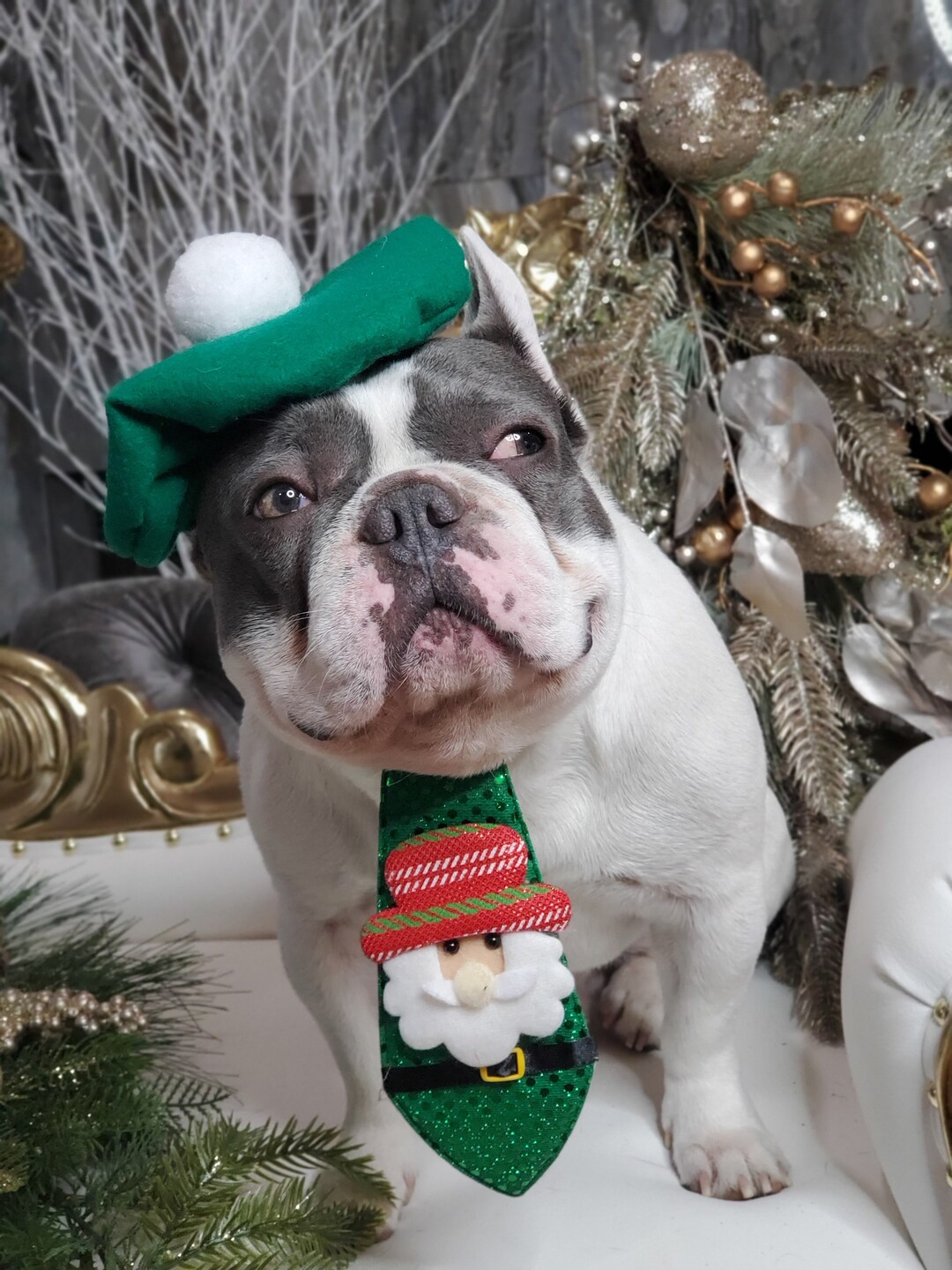 Beret Hat Green Color With Neck Tie for Dog or Cat /hat for Dogs/beret ...