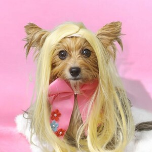 Cute Pet Wig, Halloween Costume for Dog or Cat - Etsy