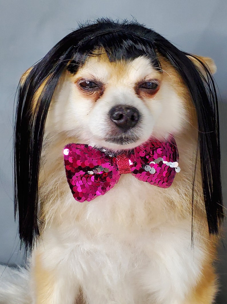 Black Pet Wig for Dog or Cat, Halloween Costume - Etsy