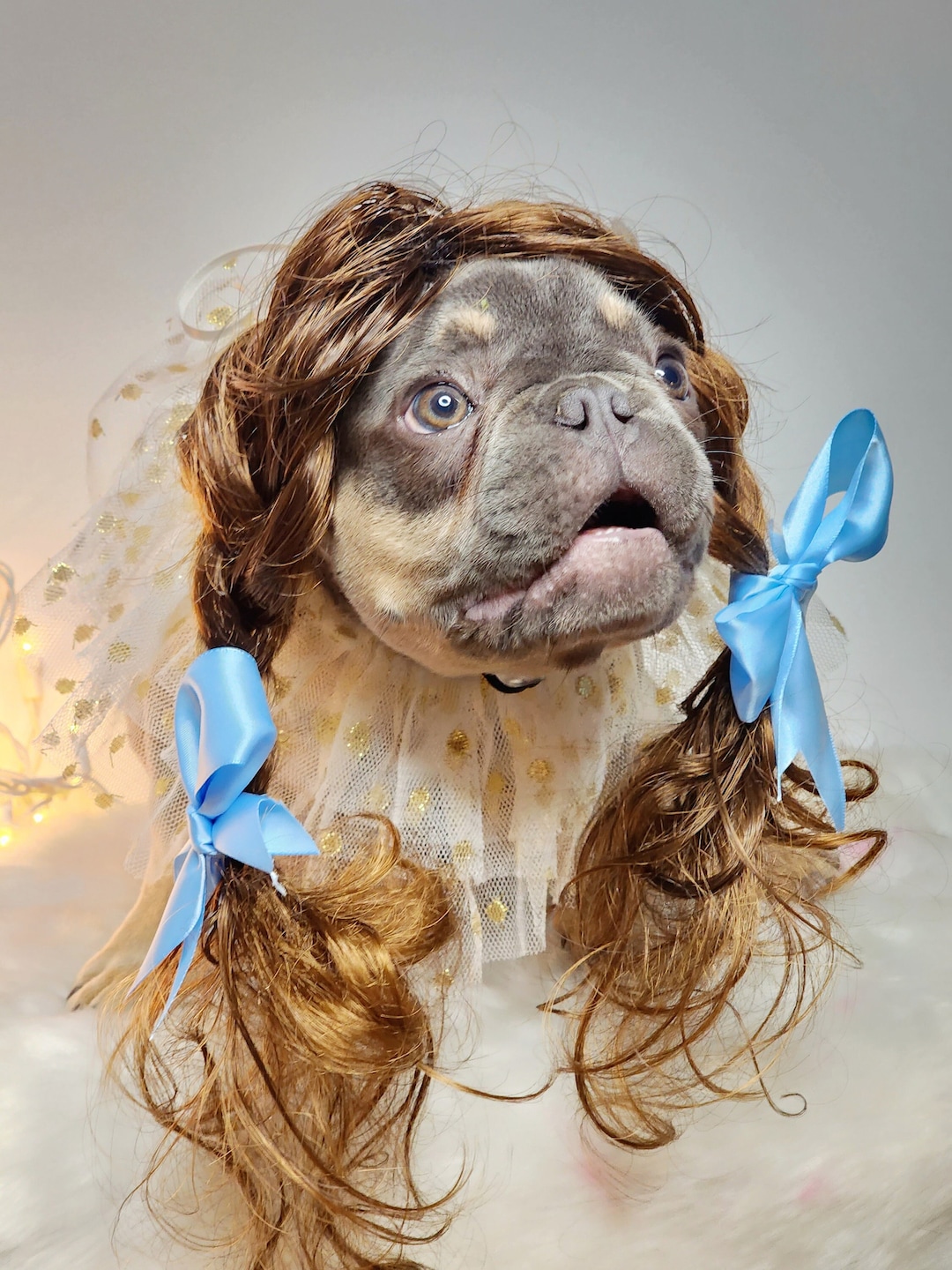 The Wizard of Oz Dorothy Brown Color Pet Wig/dorothy Dog Wig/dog ...
