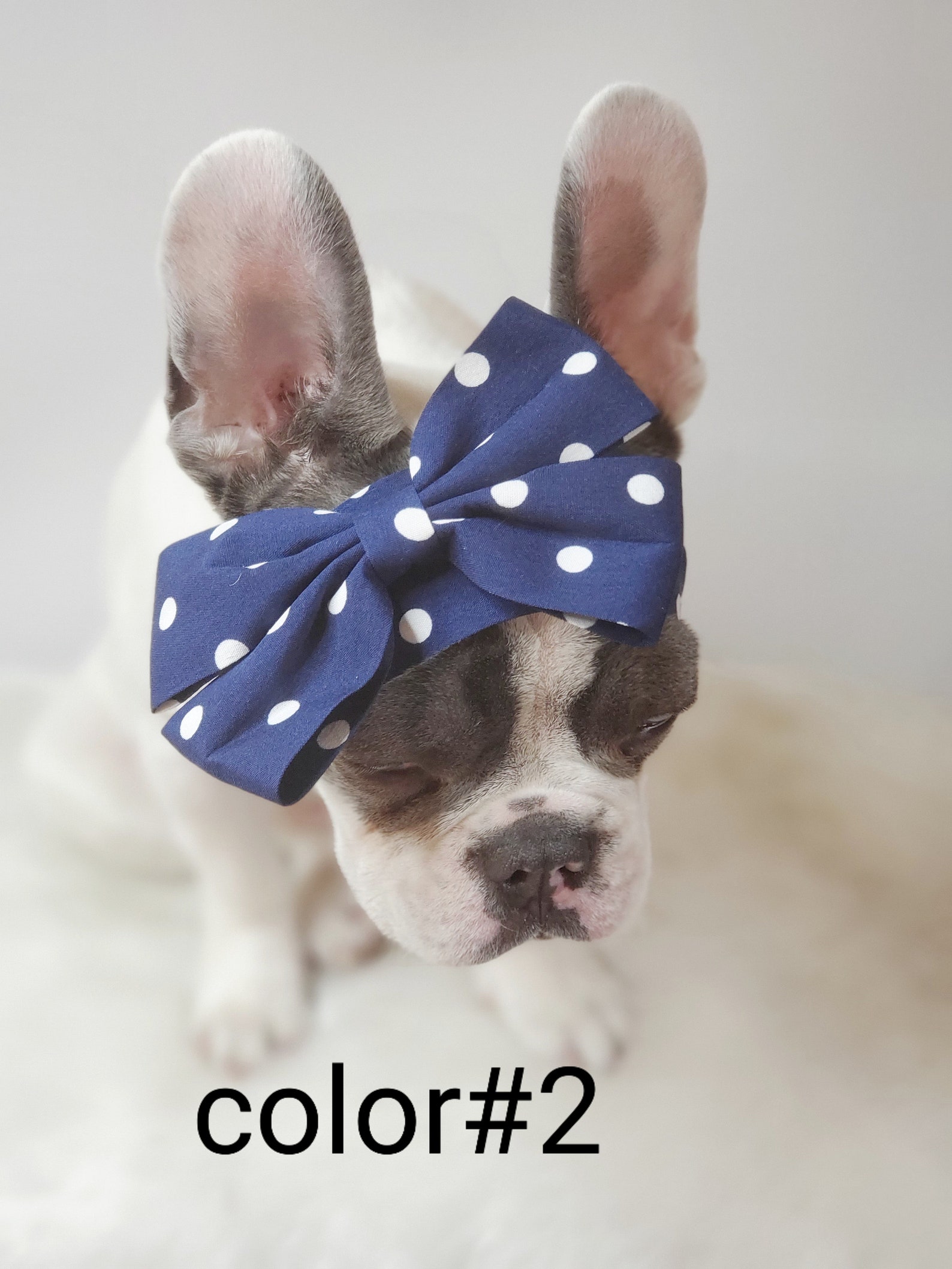 Headband for Dog or Cat /headband for Dogs/pet Gift/ - Etsy