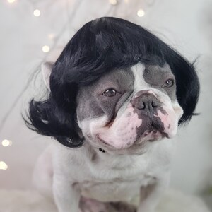Black Dog Wig, Elegant Puppy Costume, Large Size - Etsy