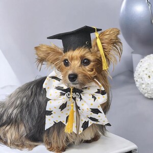 Graduation Pet Hat for Cat or Dog, Adjustable Elastic, XS/S - Etsy