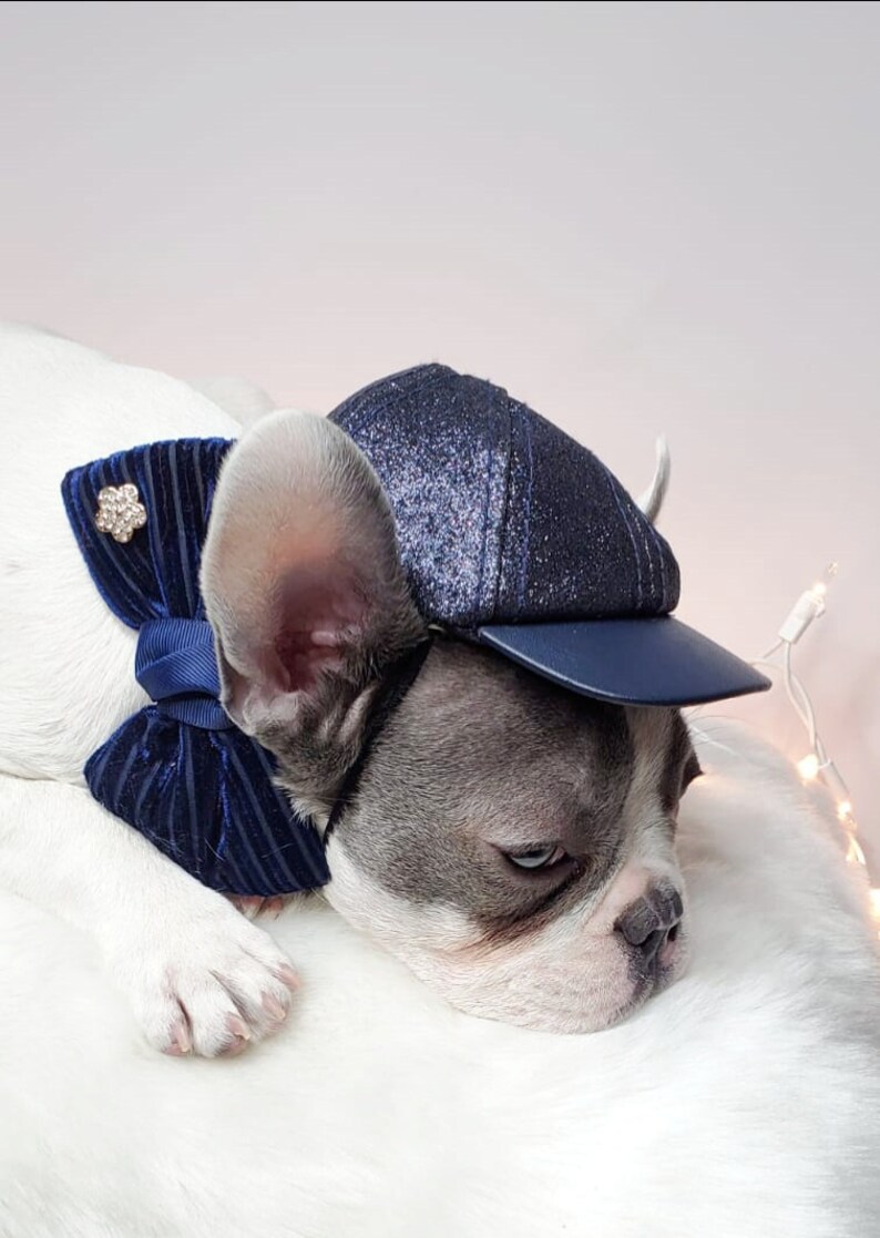 Cap for You Pet/ Cute Hat Navy Color for Dog or Cat Small - Etsy