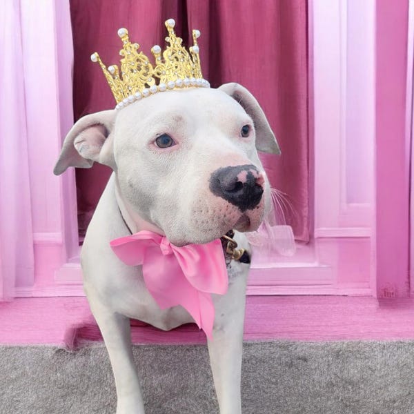 Elegantpet1 - Etsy