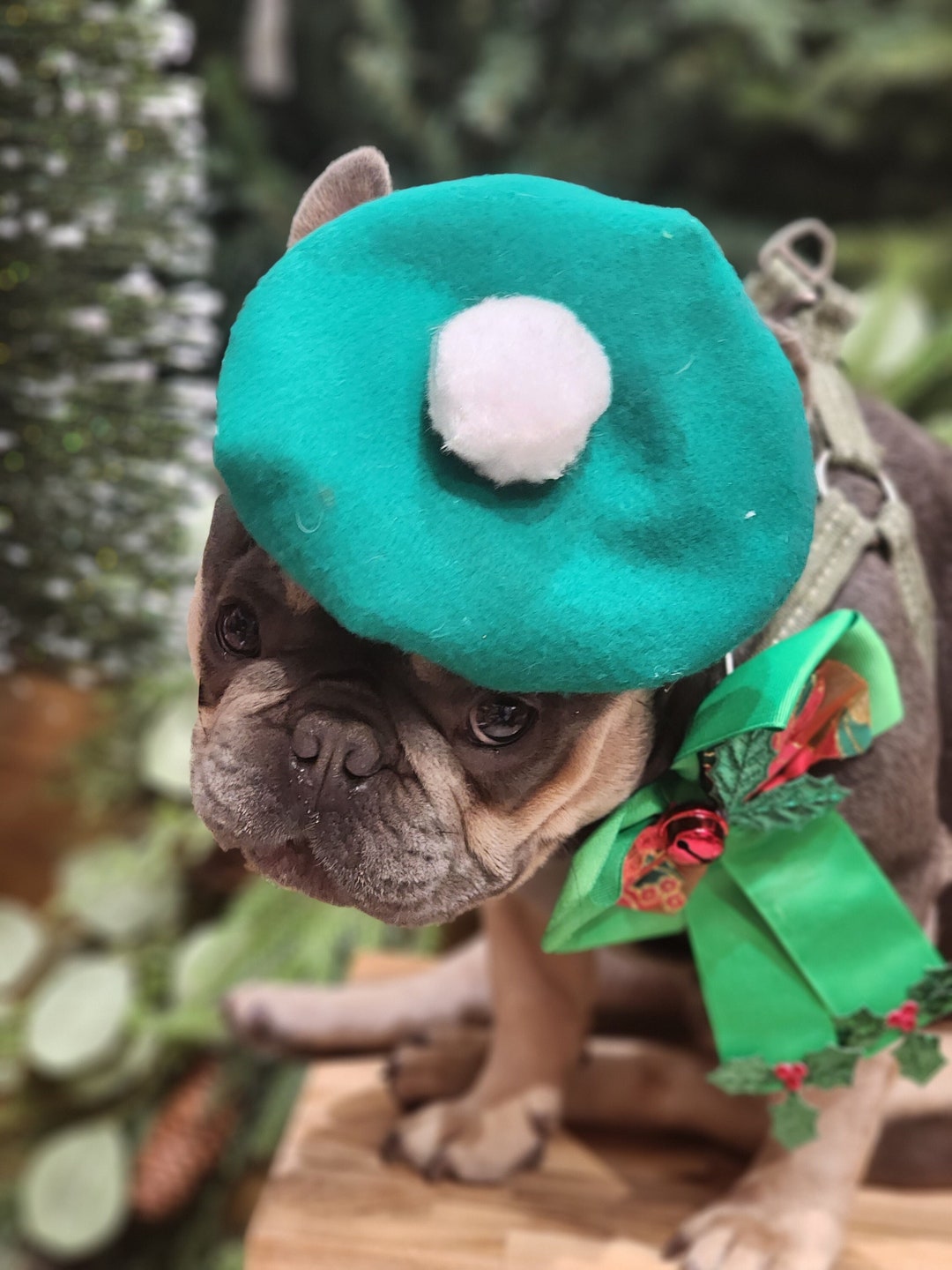 Christmas Beret Hat Green Color for Dog or Cat /hat for Dogs/beret for ...