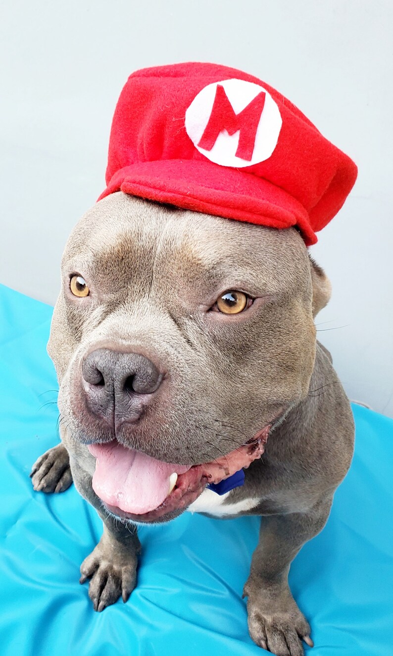 Super Mario Dog Costume Hat, Red Pet Halloween Costume - Etsy