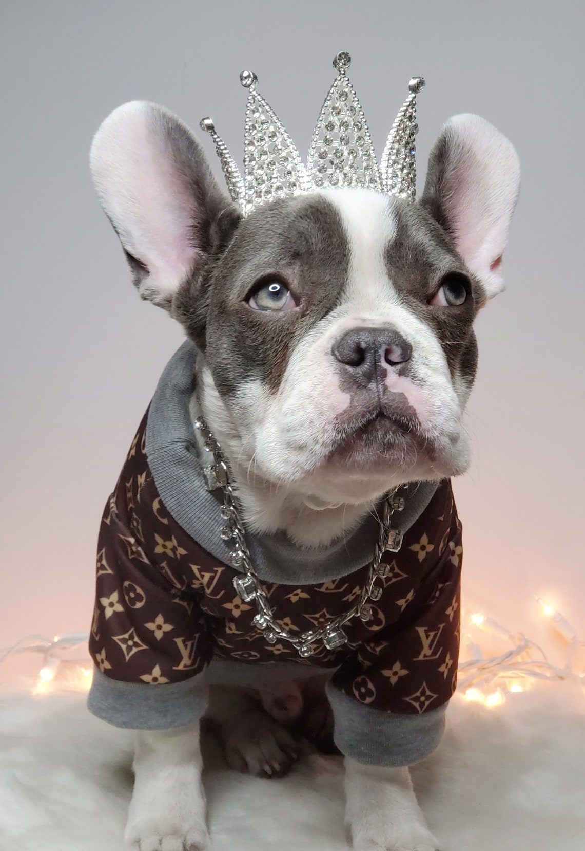 Crown for Dog or Cat /princess Dog Crown / Crown for Dog - Etsy