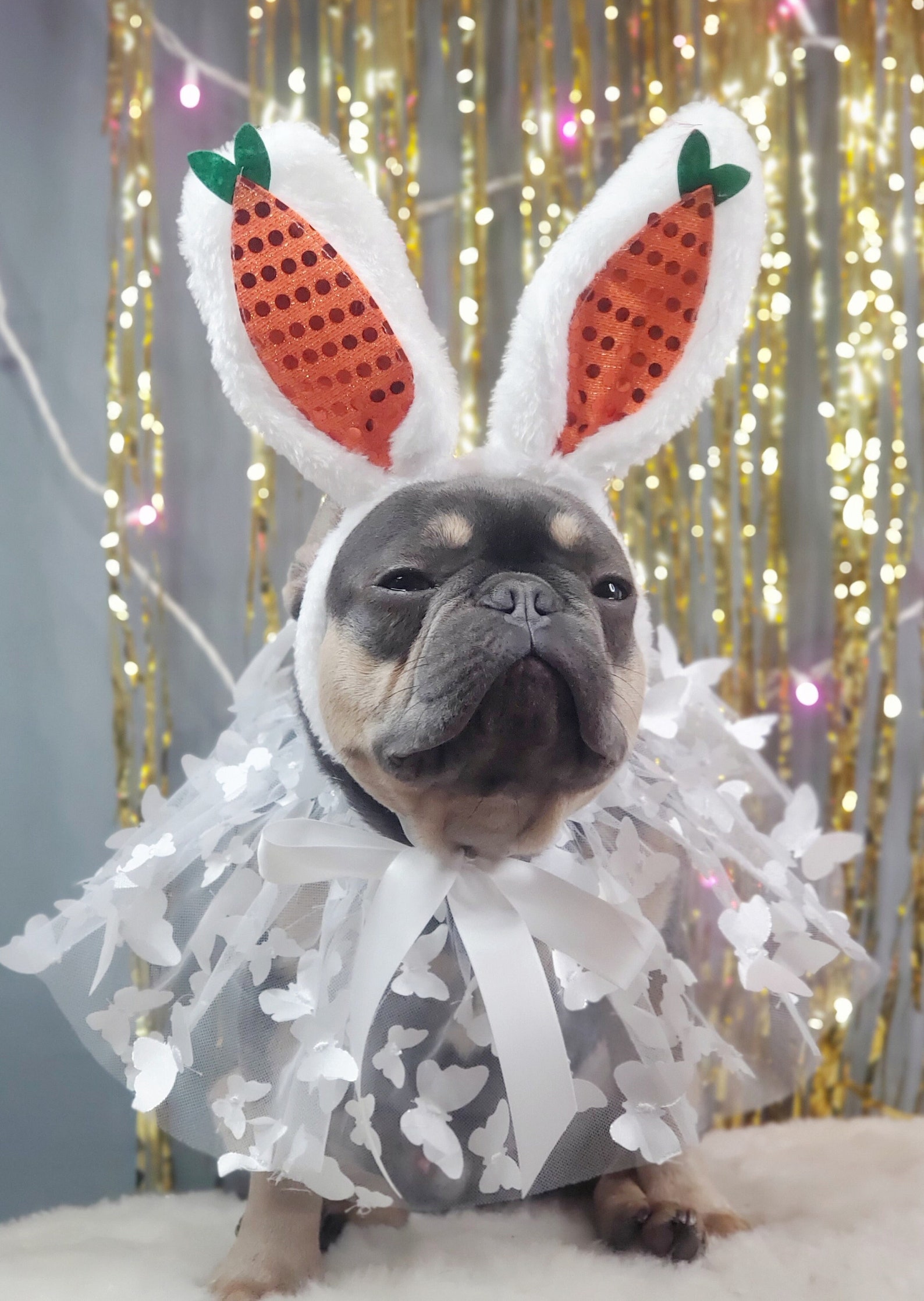 Easter Bunny Headband for Dog or Cat /bunny Dog Hat / Bunny Dogs ...