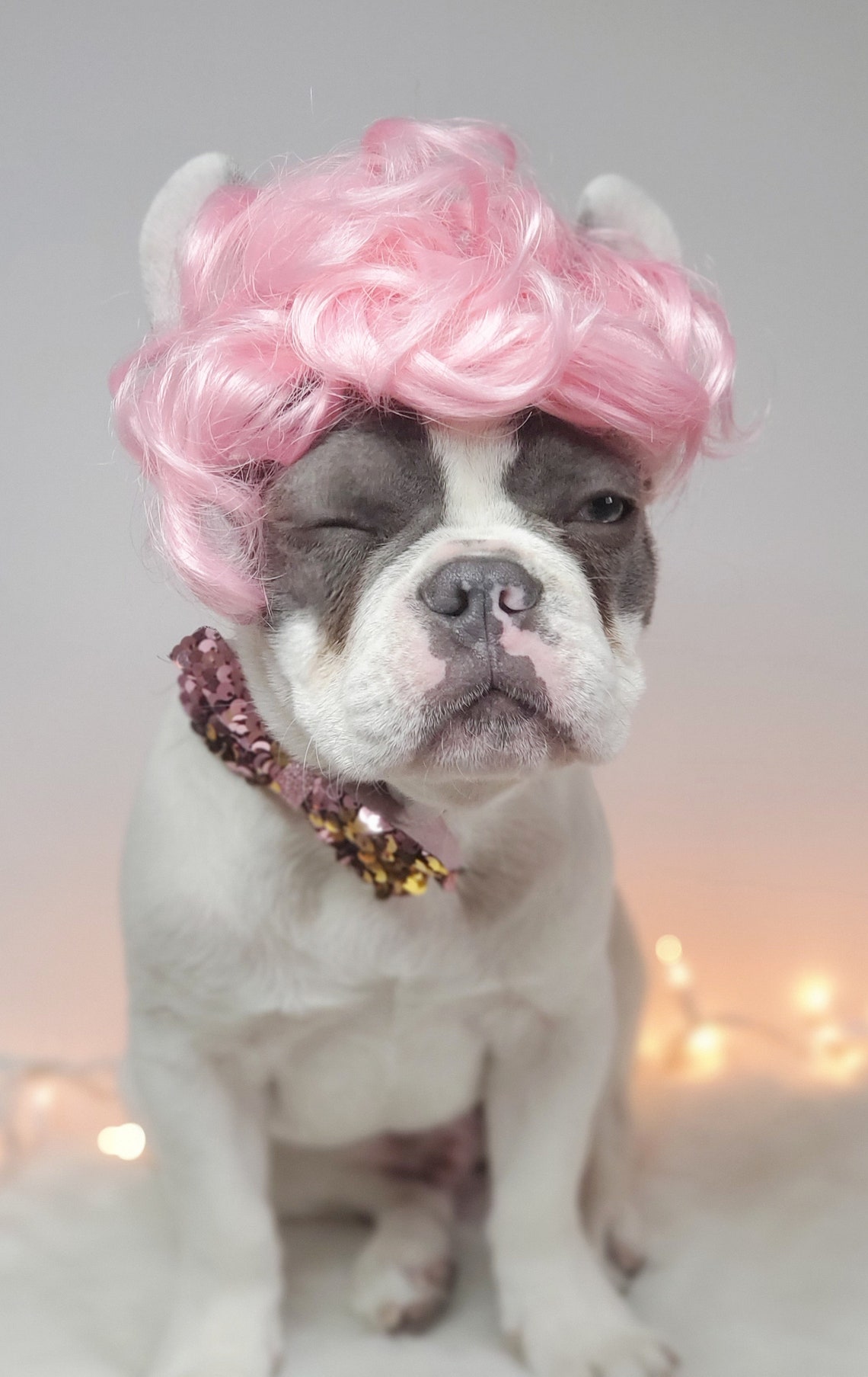 Pink Pet Wig for Dog or Cat, Halloween Costume - Etsy