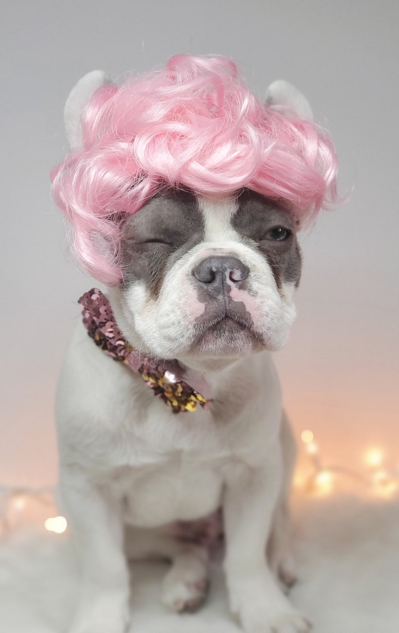 Pink Pet Wig for Dog or Cat, Halloween Costume - Etsy