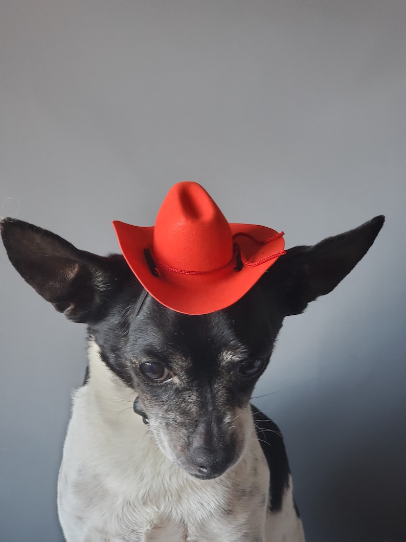 Cowboy Hat for Dog or Cat Red Color/cowboy Dogs Costume/cowboy | Etsy