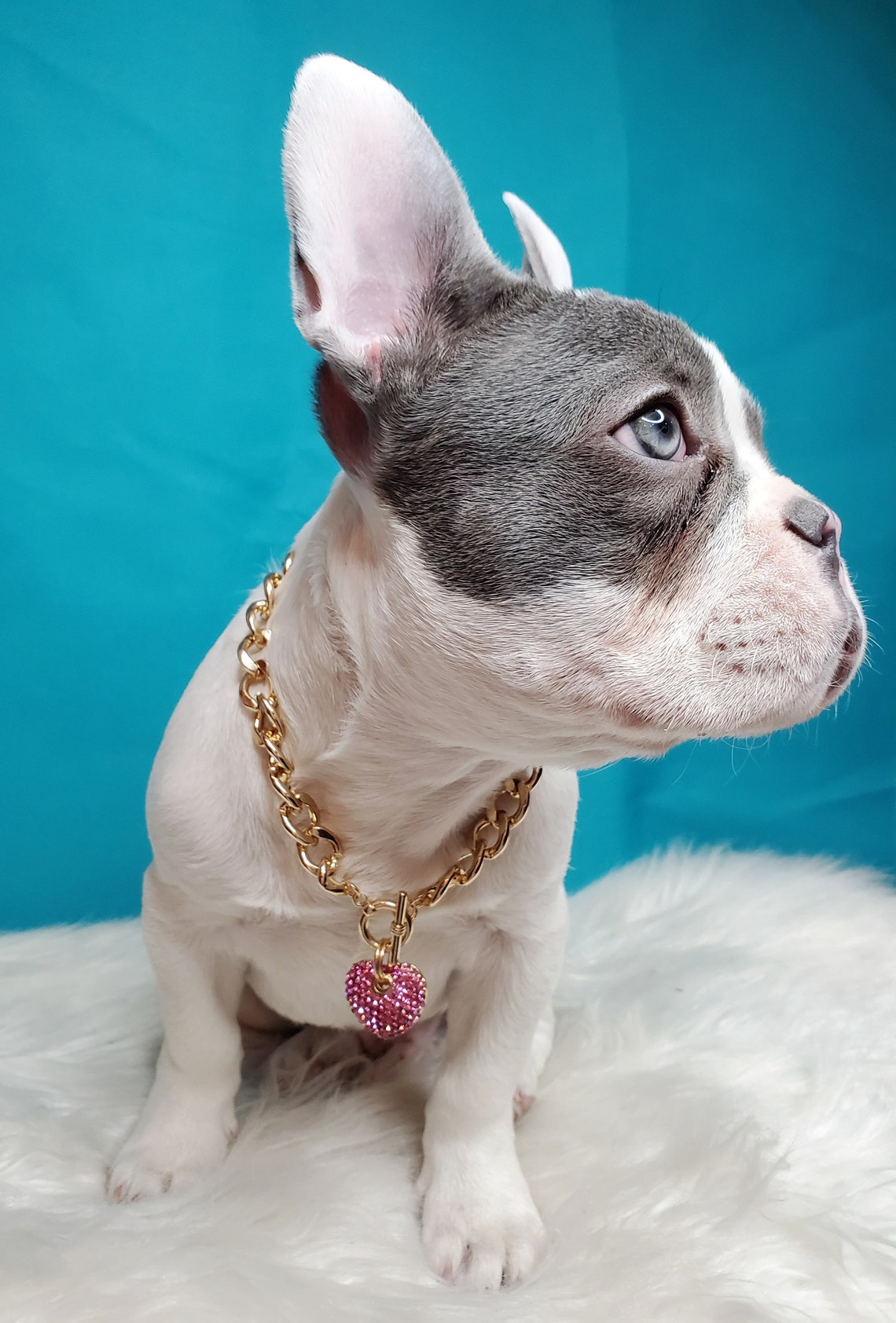 Supper cute dog neck chain gold color with pink color heart | Etsy