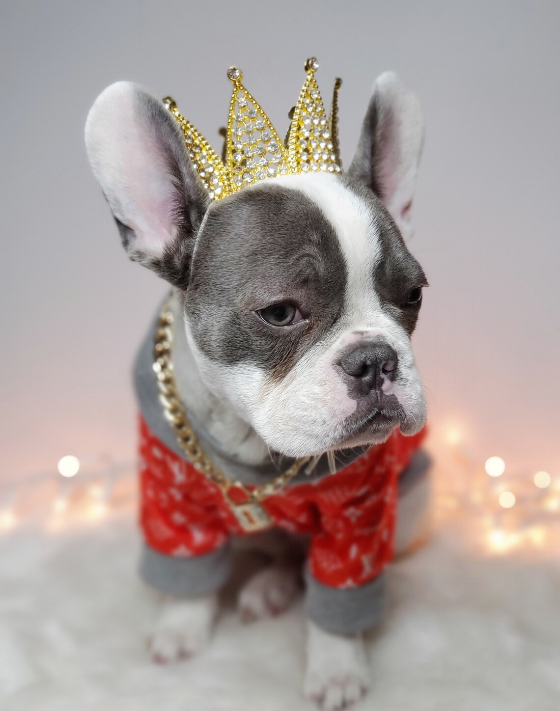 Crown for dog or cat /Princess dog crown / Crown for dog | Etsy