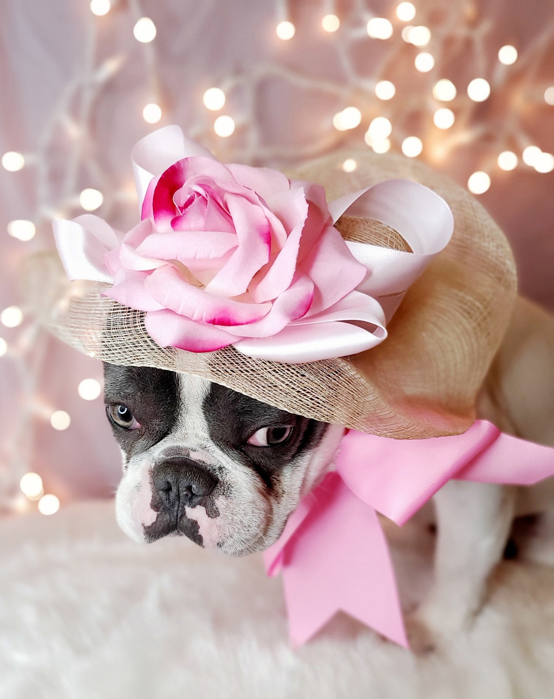 Elegant Dog Hat With Bow & Flower: Pet Costume Set Listing - Etsy