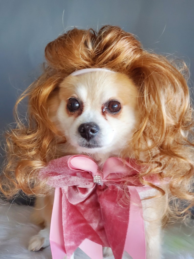 Curly Pet Wig, Dog or Cat Costume - Etsy