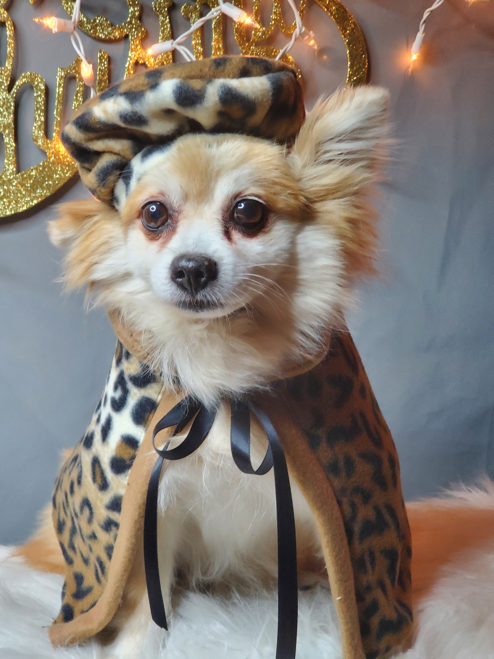 Set 2 Piece Beret and Cape Cover for Dog Cat or Small Animal / | Etsy