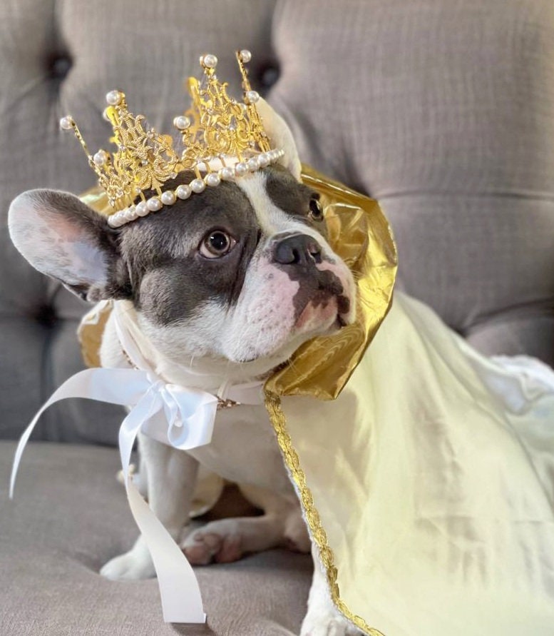 Gold Color Crown for Dog or Cat /princess Dog Crown / Crown | Etsy