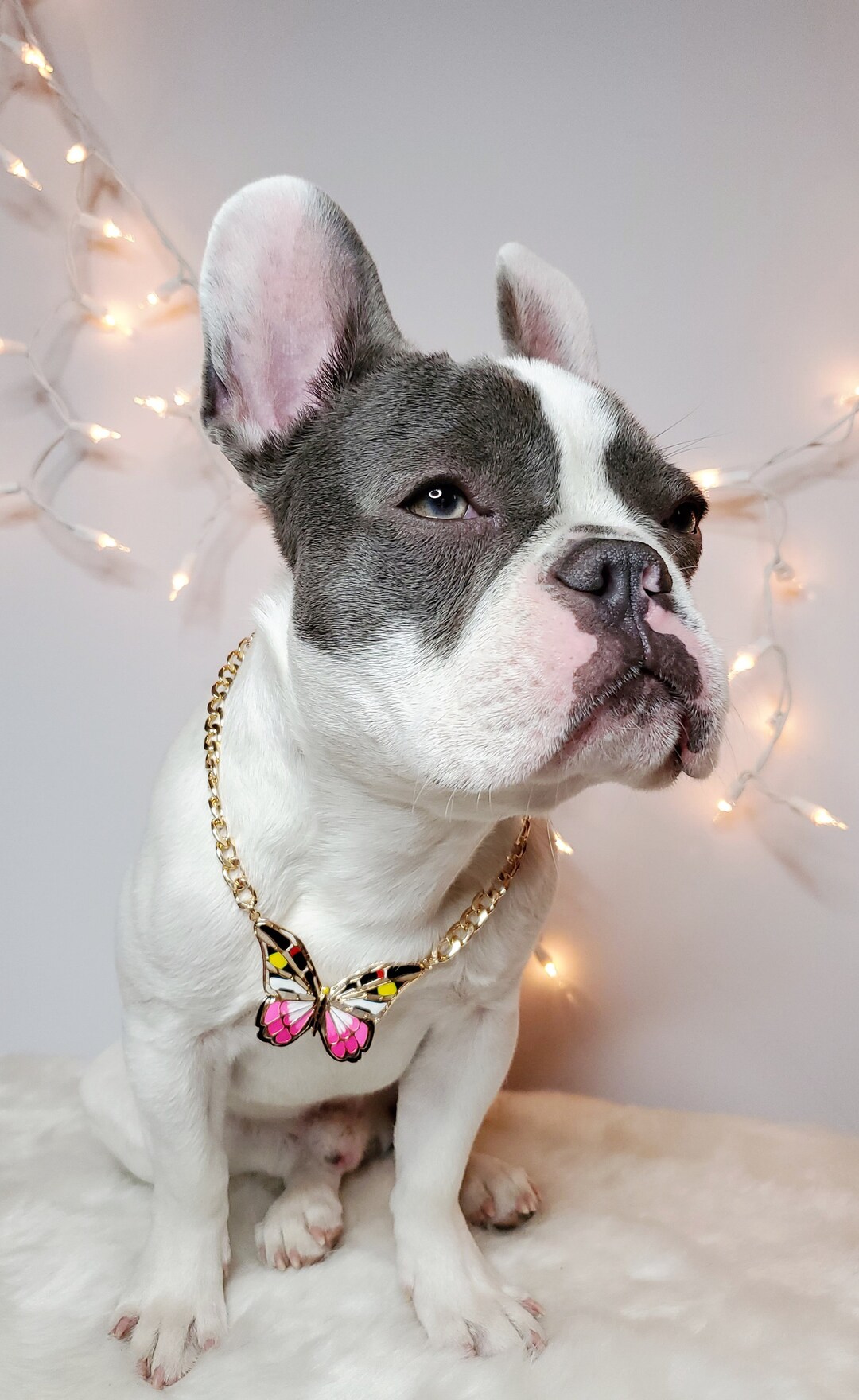 Supper Cute Dog Neck Chain Gold Color With Butterfly Pendant /jewelry ...