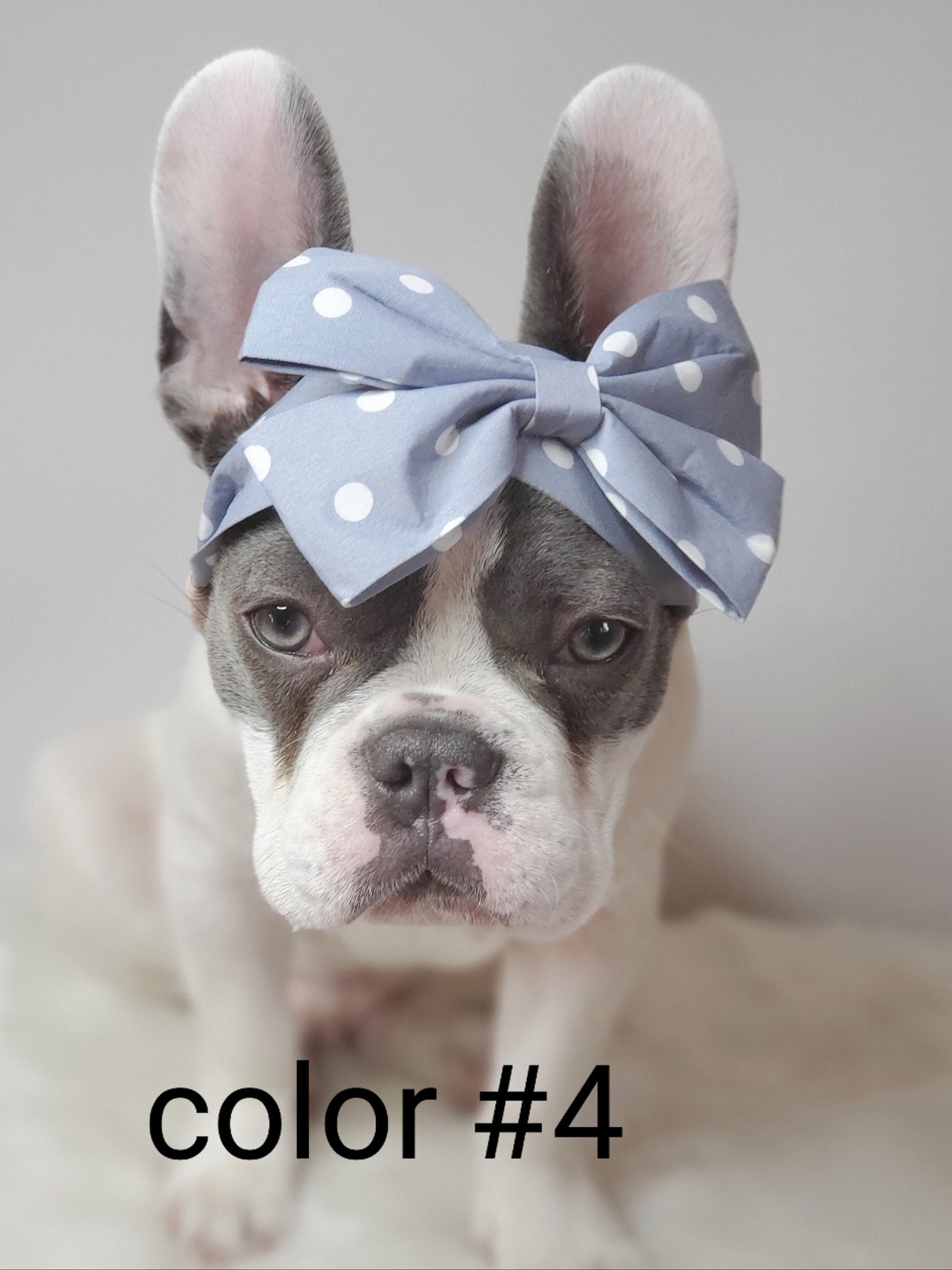 Headband for Dog or Cat /headband for Dogs/pet Gift/ - Etsy