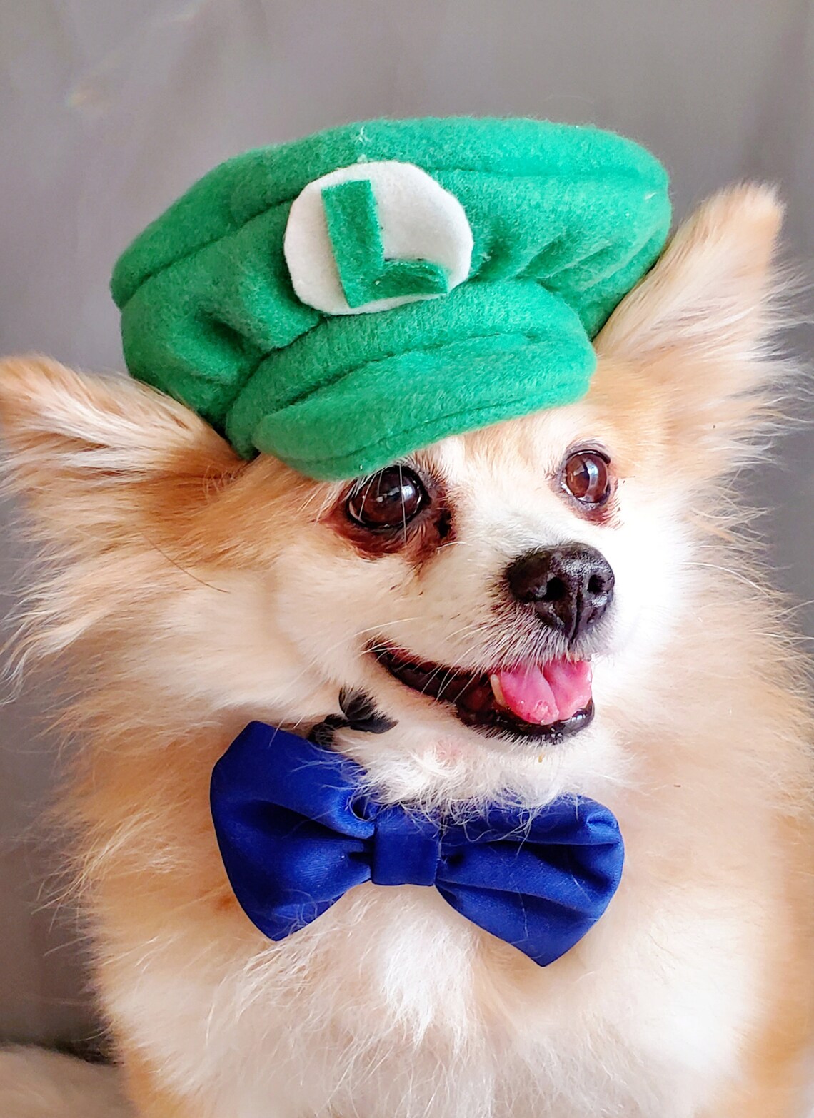 Luigi Costume Hat Green Color for Dog or Cat Small Animal Doll - Etsy