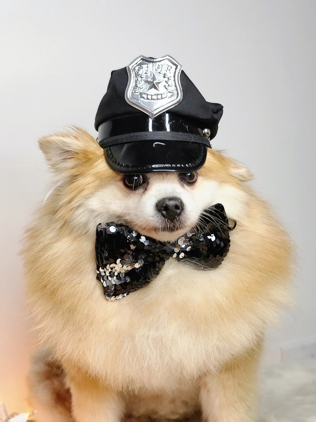 Pilot Pet Hat, Blue Police Costume for Small Dogs & Cats - Etsy