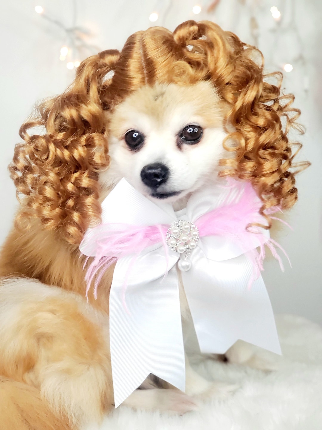 Pet Wig for Dog or Cat/halloween Dog Wig /halloween Costume Dog Wig ...