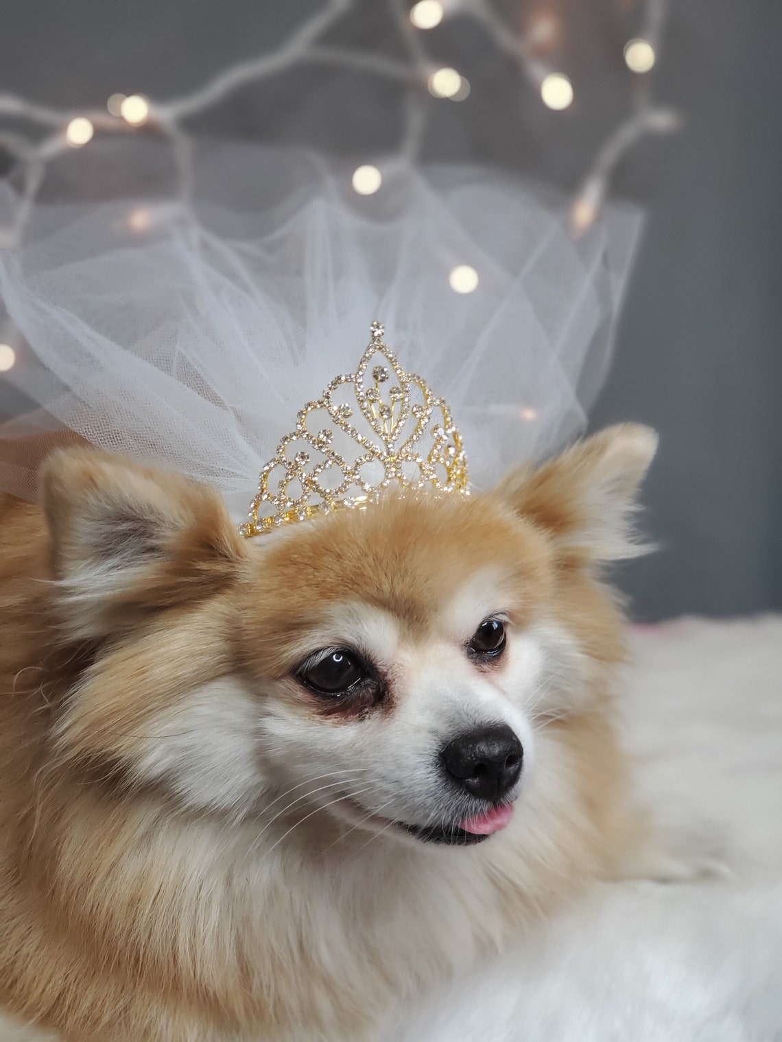 Small pet Veil /Veil for pet/ Cute bridal veil with white | Etsy