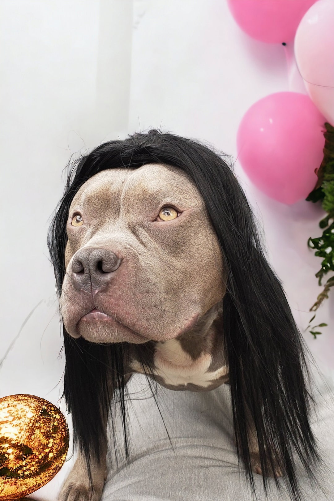 Black Dog Wig, Large Breed Costume - Etsy