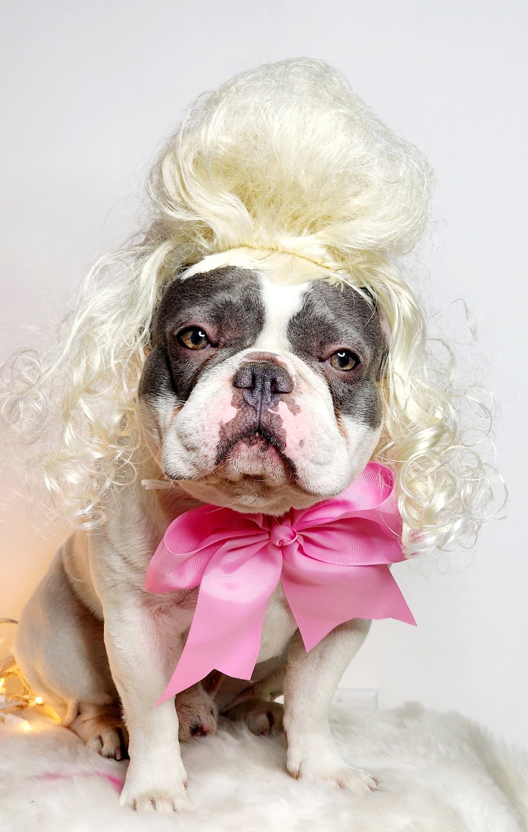 Blonde Pet Wig for Dog or Cat, Halloween Costume - Etsy