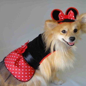 Mini Mouse Costume for Your Puppy - Etsy
