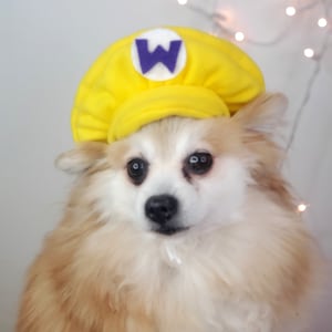 Supper Wario, Waluigi, Fire Mario , Mario ,luigi / Dog Costume ...