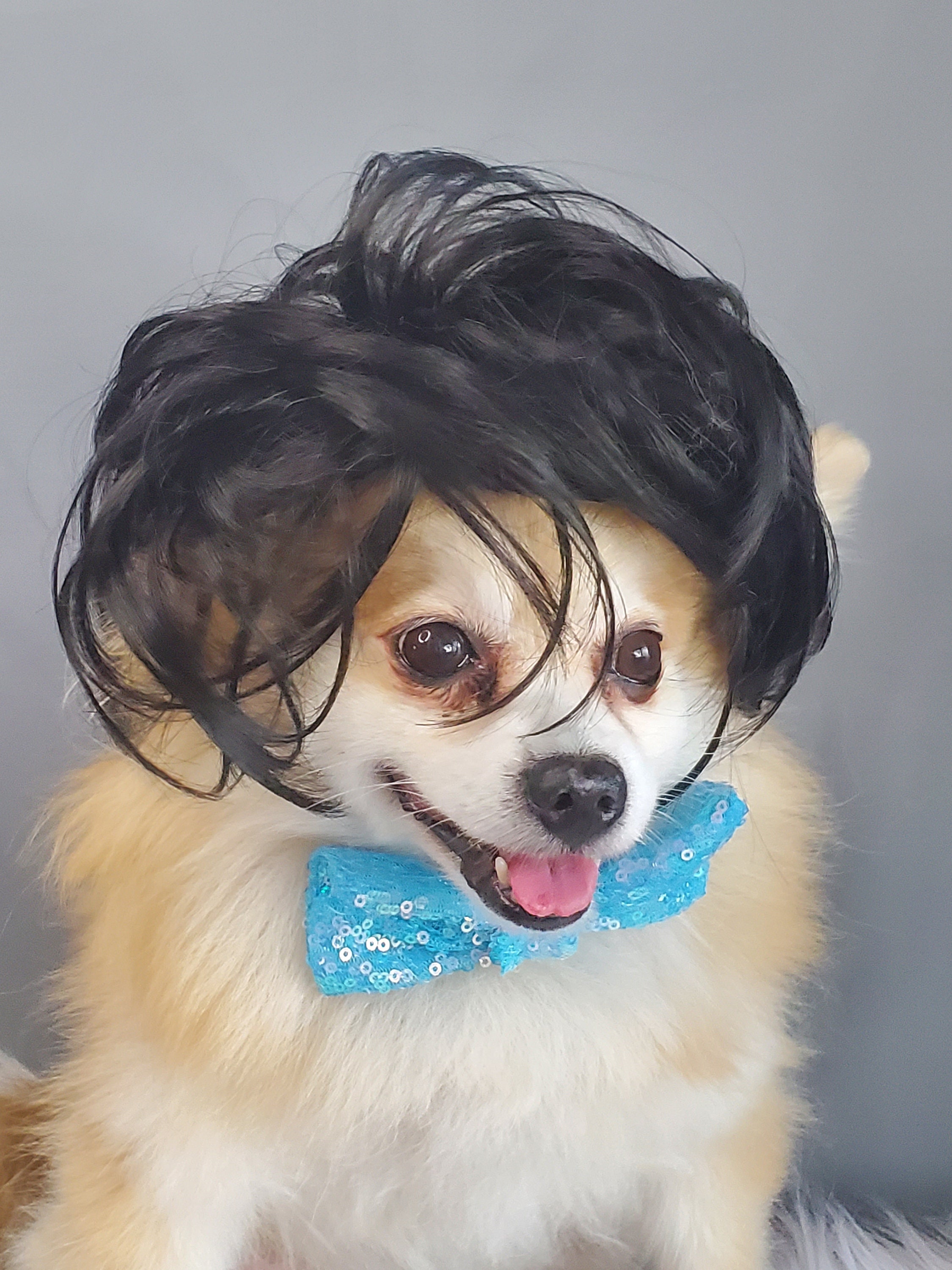 Black Pet Wig for Dog or Cat Costume - Etsy