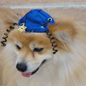 Yarmulke Hat for Dog or Cat / Hanukkah Dog Hat / Hanukkah Pet Gift ...
