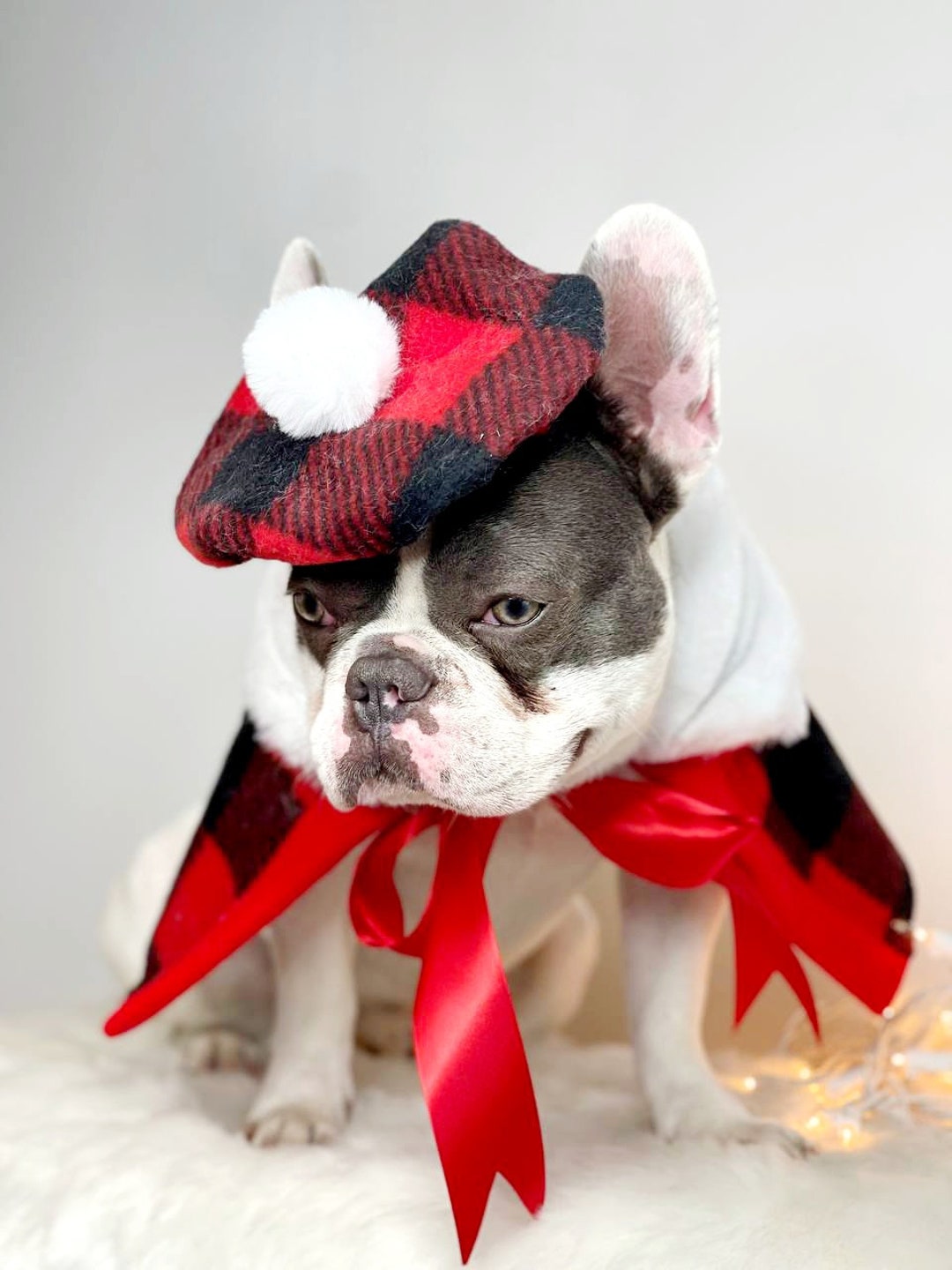 Set 2 Piece Beret and Cape Cover for Dog Cat or Small Animal / Costume ...