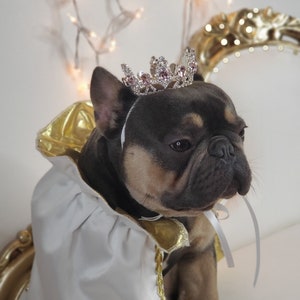 Princess Dog Crown, Silver With Pink Stones, Pet Costume - Etsy