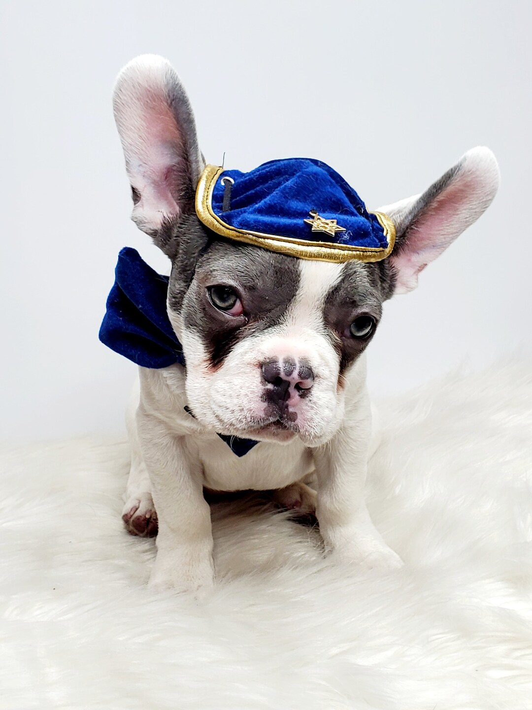Handmade Dog Kippah Hanukkah Hat and Bow Set, Jewish Star - Etsy