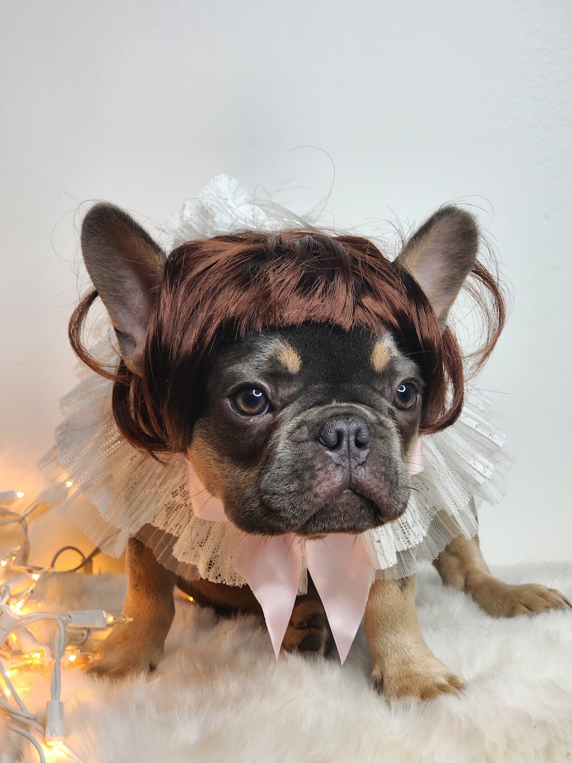 Brown Pet Wig, Adjustable Costume for Dog or Cat - Etsy