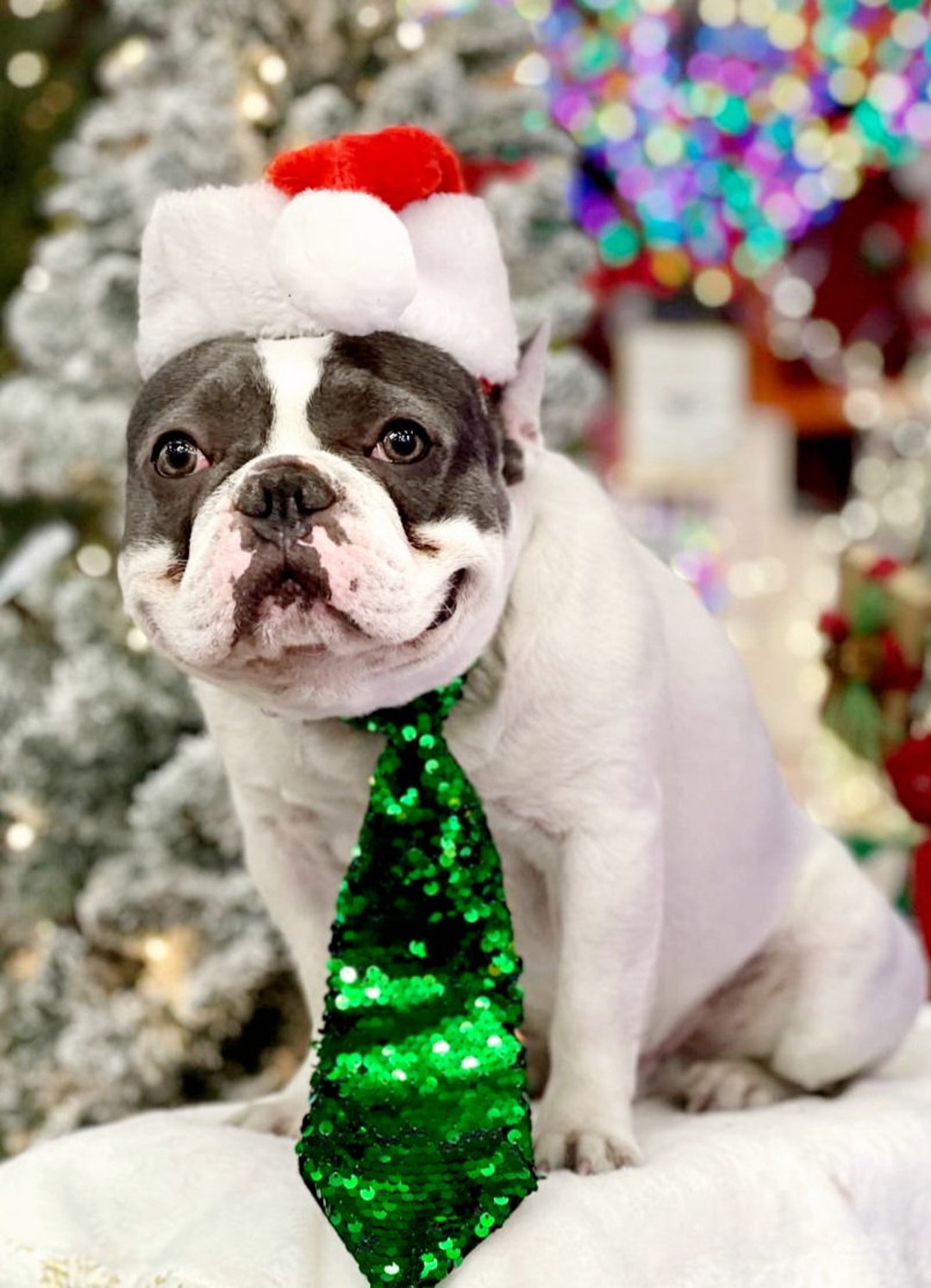 Christmas Santa Hat for Dogs, Handmade Soft Fabric, Adjustable Elastic ...