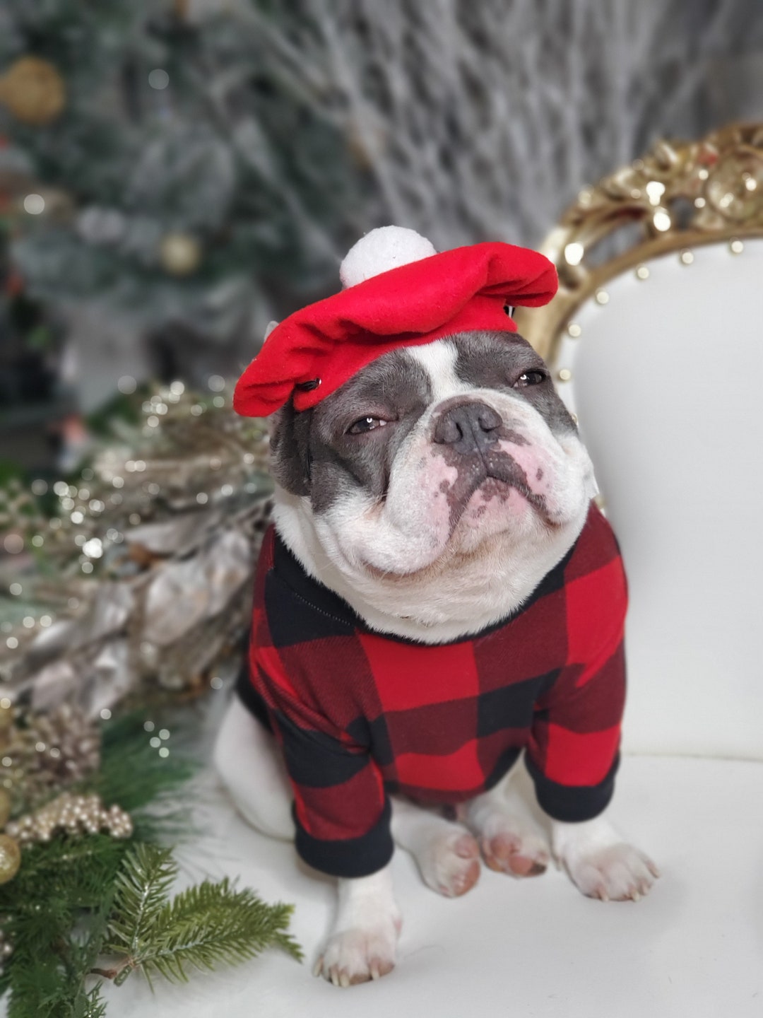 Beret Hat With Top Dog or Cat /hat for Dogs/beret for Dogs / - Etsy