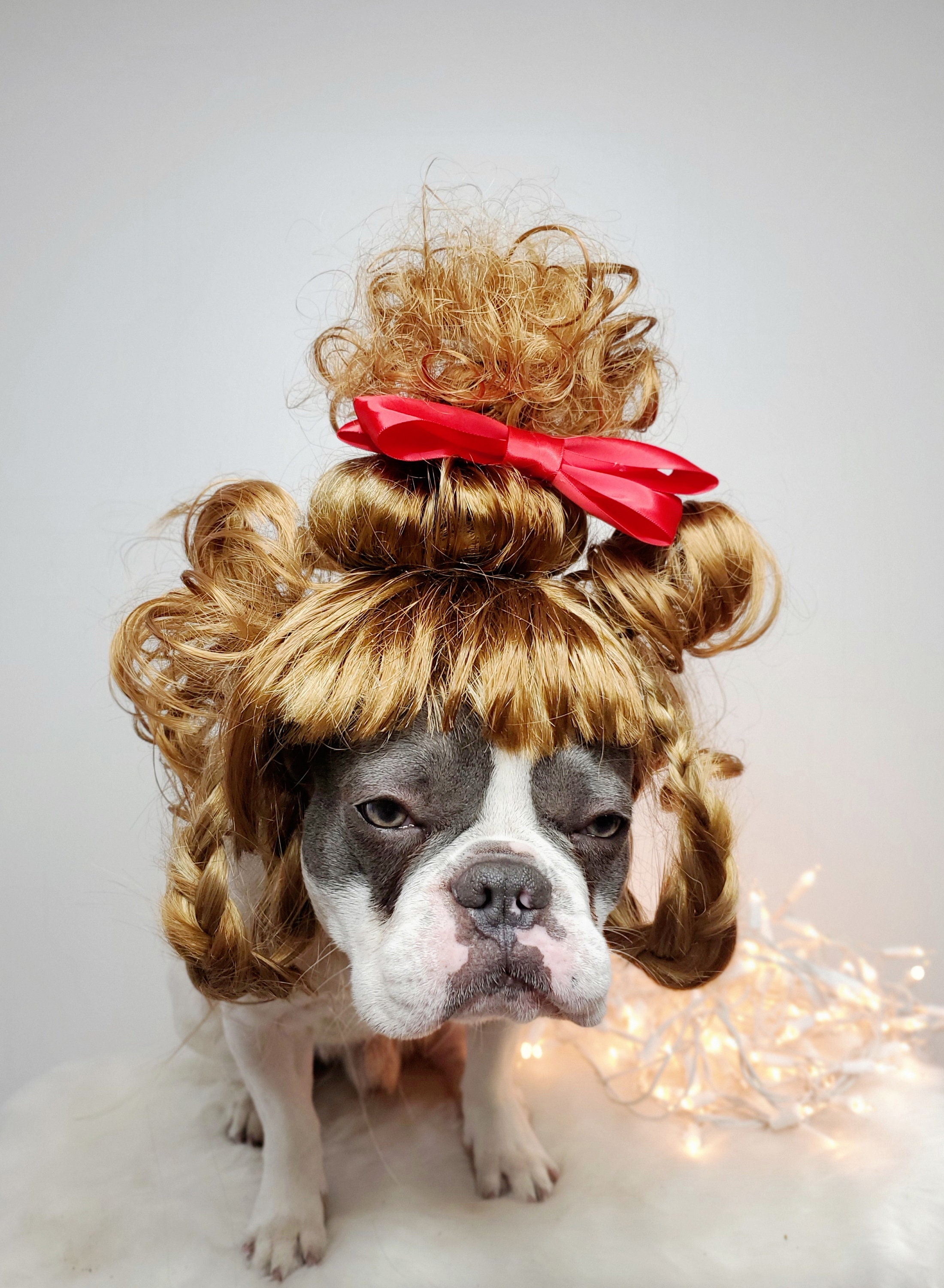 Cindy Lou Pet Wig: Handmade Dog Halloween Costume - Etsy
