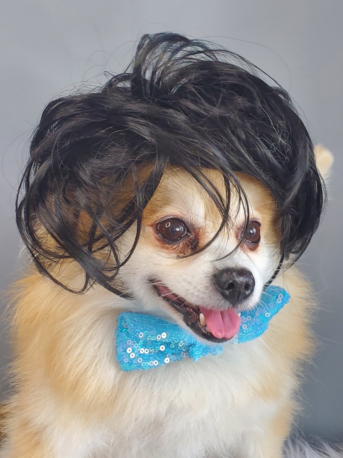 Black Pet Wig for Dog or Cat Costume - Etsy